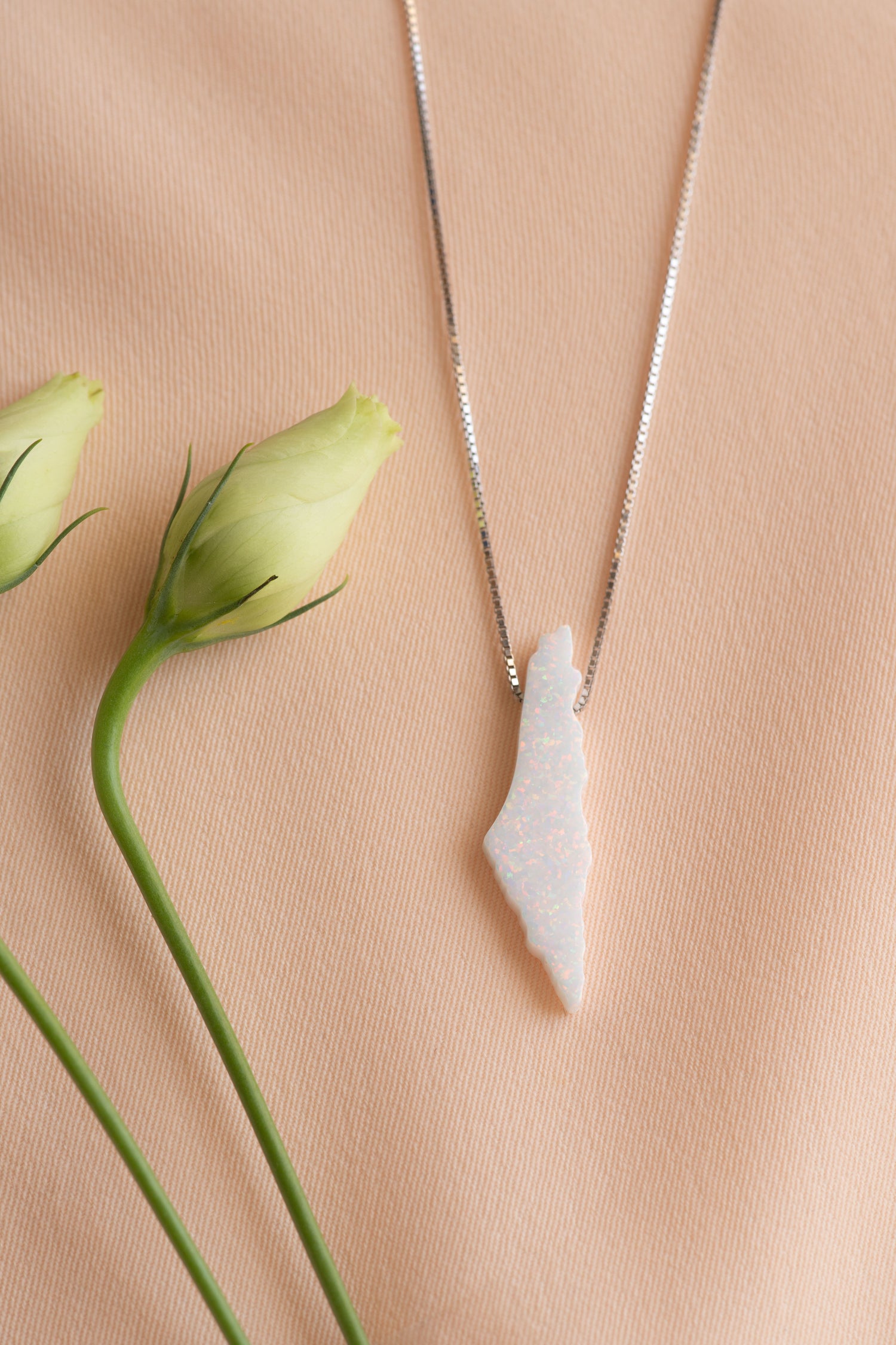 Opal Palestine map necklace