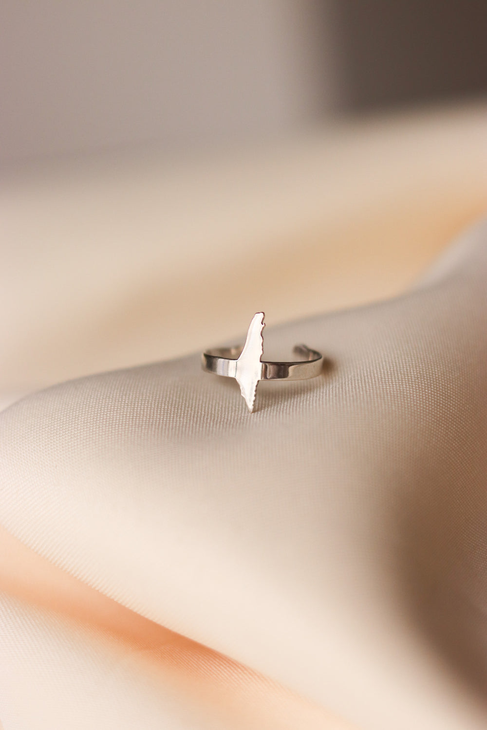 Palestine full map ring