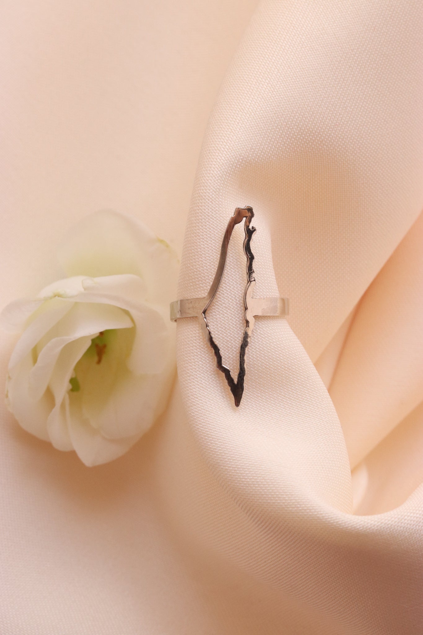 Palestine map frame ring