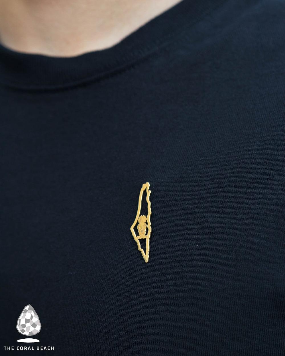 Palestine frame map with Handala inside pin